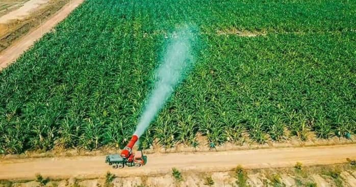 HAGL Agrico (HNG) làm gì để kết thúc chuỗi thua lỗ khiến cổ phiếu bị kiểm soát?