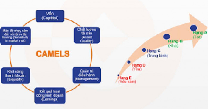 CAMELS Rating System : Thang điểm đánh giá quản trị rủi ro của ngân hàng