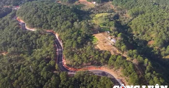 Vẻ đẹp ngoạn mục của đèo Prenn, đệ nhất cung đường đèo Đà Lạt