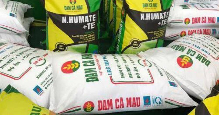 DCM - Kế hoạch 2024 quá thận trọng