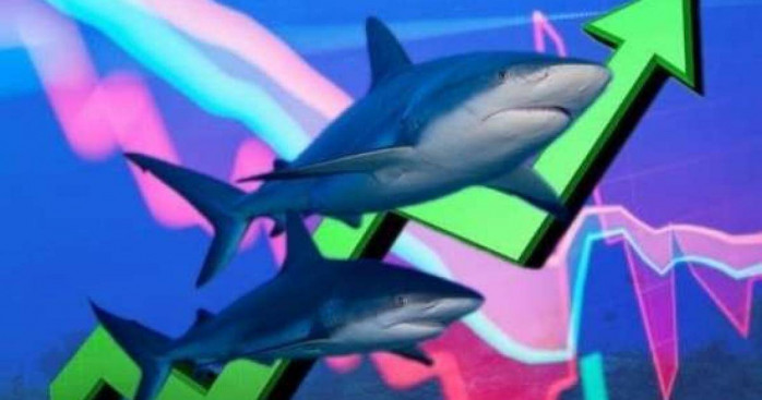 VIX - Game dòng tiền cá mập