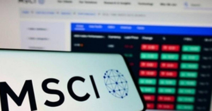 2 cổ phiếu nào vừa được thêm vào rổ MSCI?