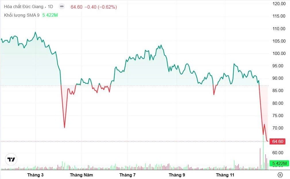 DGC rơi sâu, dòng tiền lớn "ngửi" thấy cơ hội?
