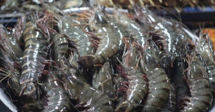 Nga đang là thị trường tiềm năng của xuất khẩu tôm