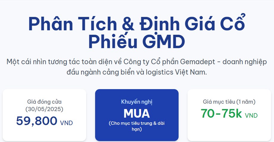 GMD - Phân tích đầu tư và triển vọng của siêu cảng Gemadept